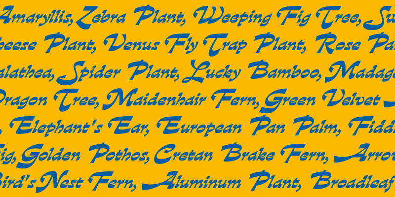 23 of the Best Fonts for Designers in 2023 | Jukebox Print