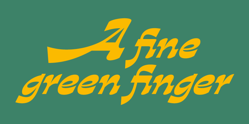 23 of the Best Fonts for Designers in 2023 | Jukebox Print